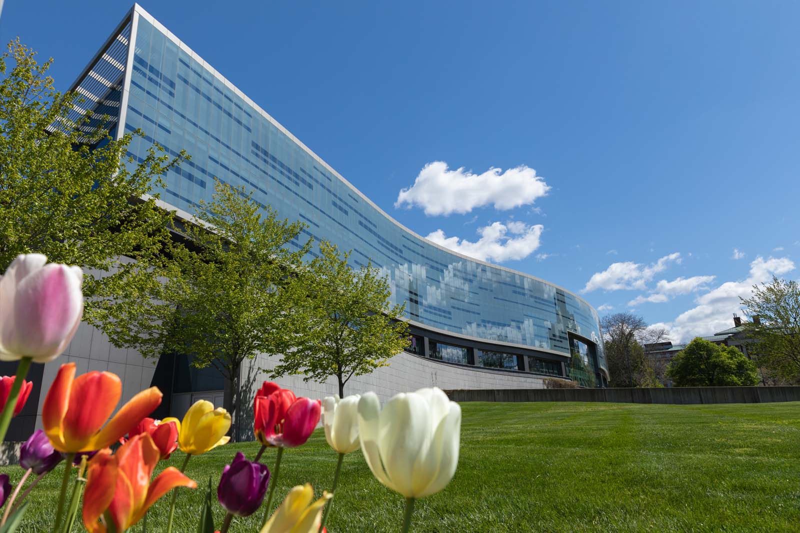 » Newhouse Convocation