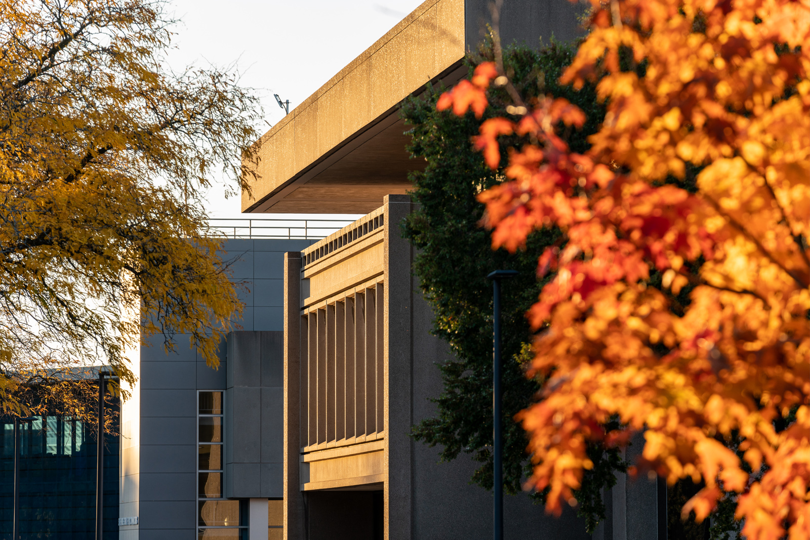 » Academic Chairs and Directors